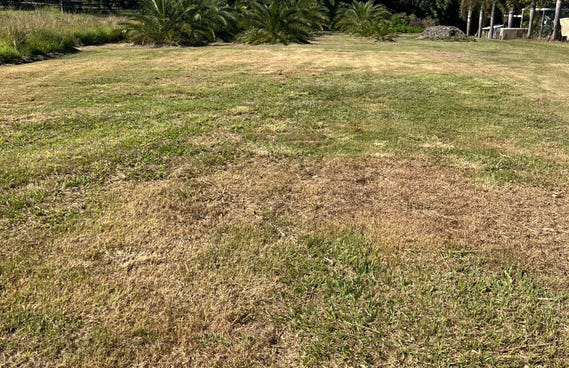 45 Bompa Road, Waterford West QLD 4133 - property.com.au