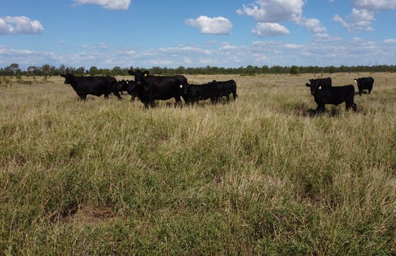 3245 Goodar Road, Goodar QLD 4390 - property.com.au