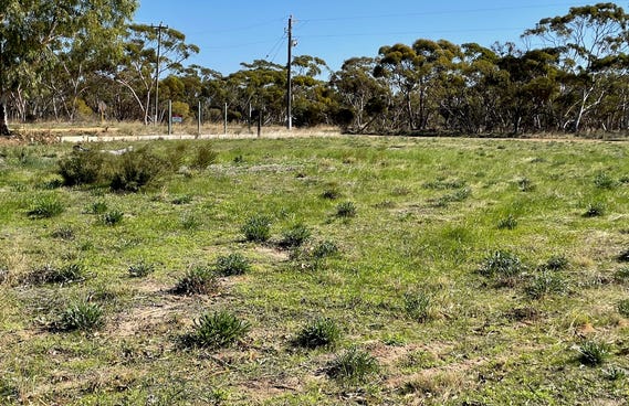 Lot 39 Mccallum Street, Muntadgin WA 6420 - property.com.au