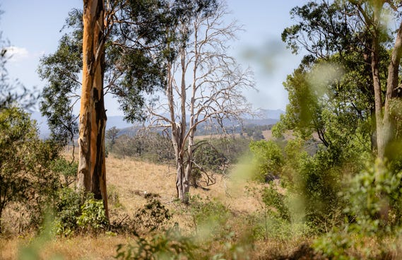 5939 The Bucketts Way, Bootawa NSW 2430 - property.com.au