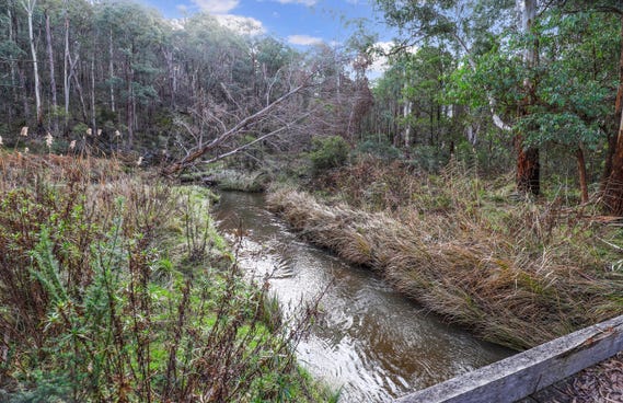 467 Bonang Road, Bendoc VIC 3888 - property.com.au