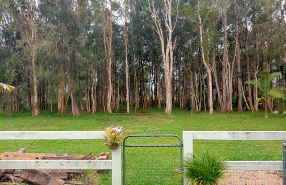 50 Seabreeze Parade, Green Point NSW 2428 - property.com.au