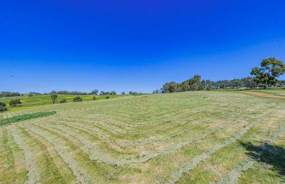 101 Alawoona Circle, Bullsbrook WA 6084 - property.com.au