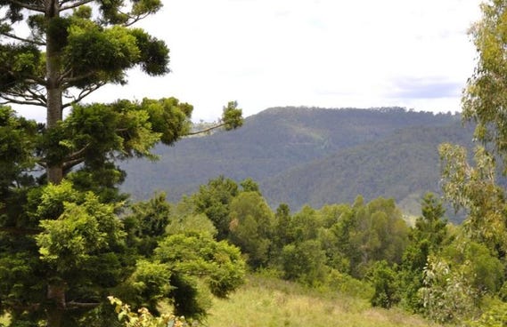 439 Darlington Range Road, Witheren QLD 4275 - property.com.au