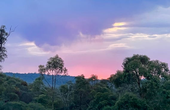 1099 Old Rosedale Road, Darriman VIC 3851 - property.com.au