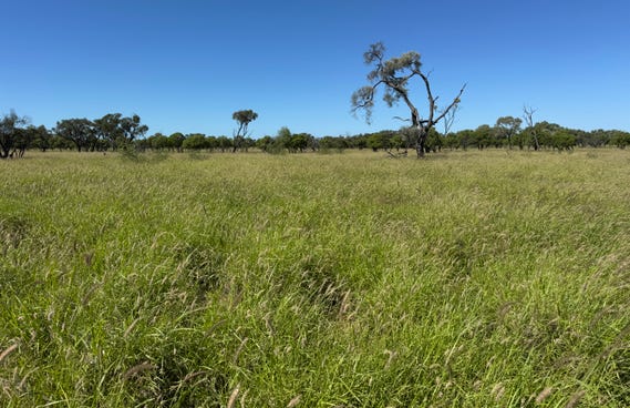 16589 Thomson Developmental Road, Longreach QLD 4730 - property.com.au