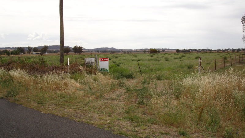 344 Top Somerton Road, Attunga, NSW 2345