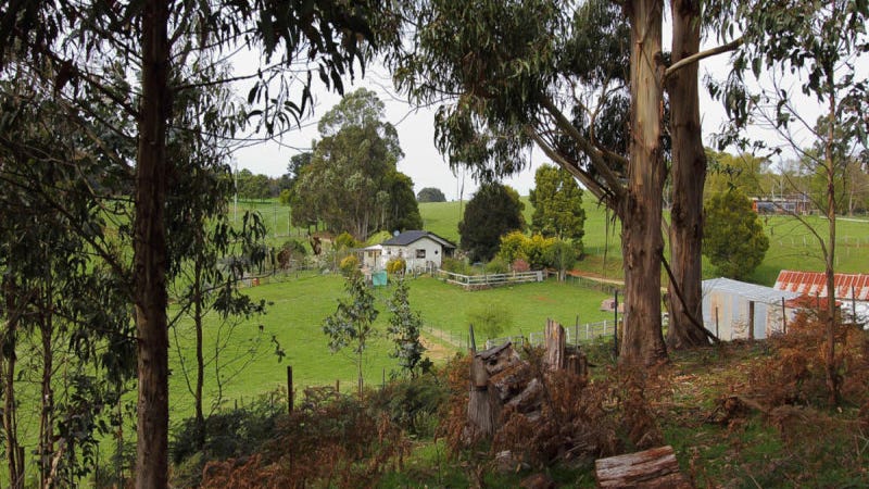 80 Penima Road, Ridgley, Tas 7321 - realestate.com.au