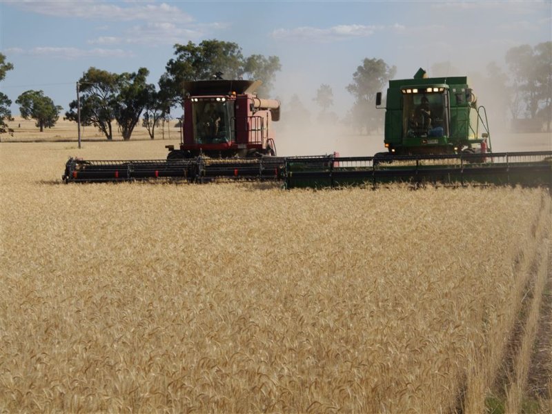 1327 Lockhart Road, Walbundrie, NSW 2642 - Property Details