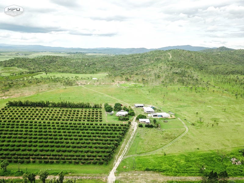 105 Boonmoo Road, Dimbulah, Qld 4872 - Property Details