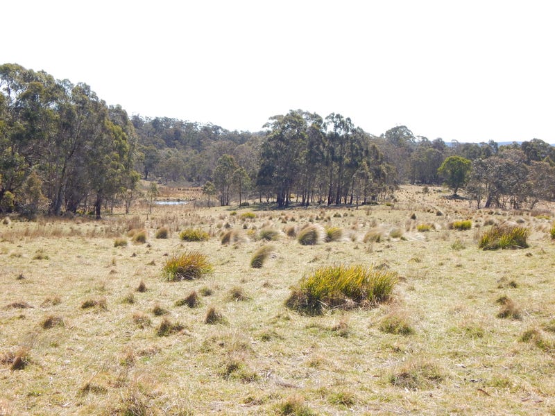 412 Kybeyan Road, Nimmitabel, NSW 2631 - Property Details