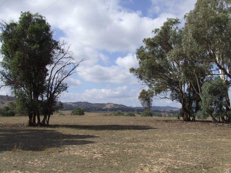 Lots 98 & 110 Lower Lewis Ponds Rd, Orange, NSW 2800 - Property Details