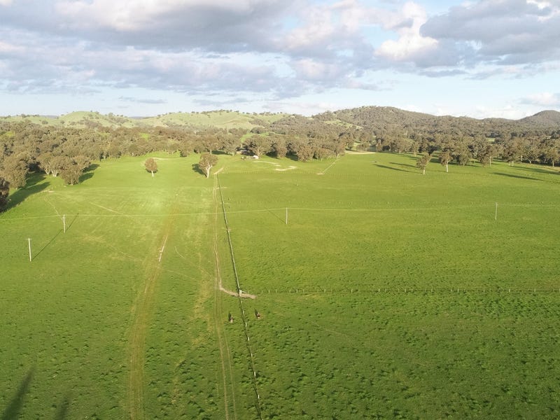 1091 Humula Road, Tarcutta, NSW 2652 - realestate.com.au