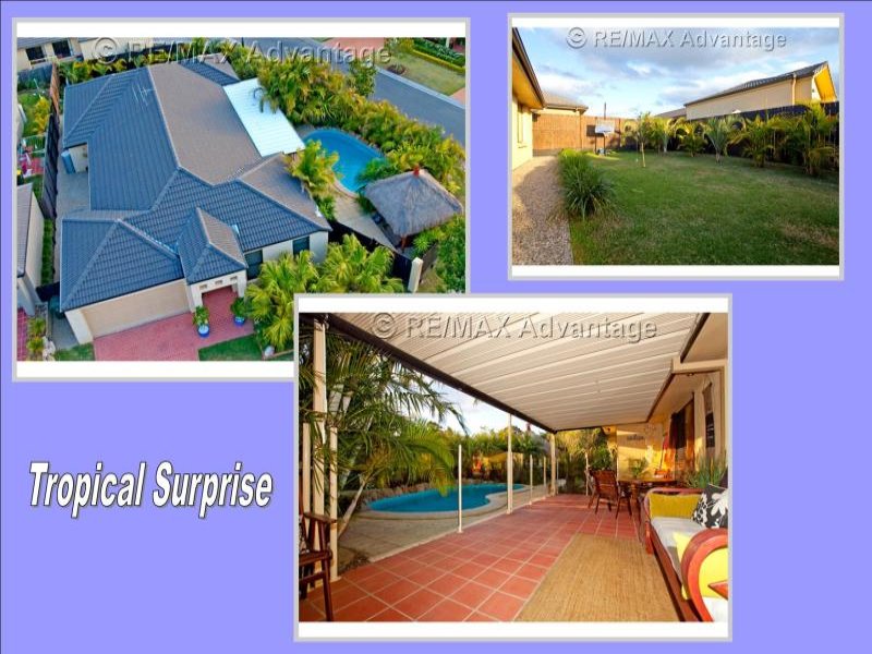 6 Williams Street, Wakerley, QLD 4154 - realestate.com.au