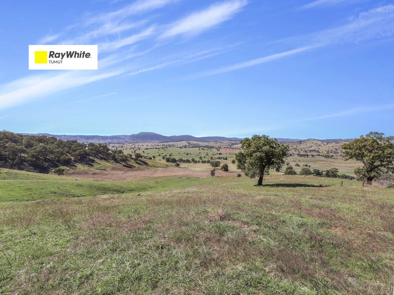 Part 1169 Grahamstown Road, Adelong, NSW 2729 - Lifestyle for Sale ...
