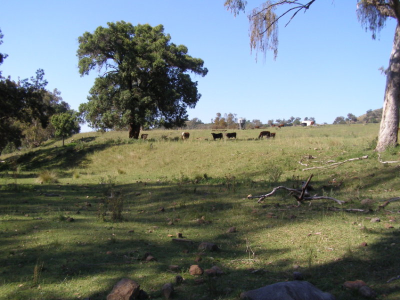 "TWIN VALLEYS" Mossvale Rd Moonan Flat, Scone, NSW 2337 - Property Details