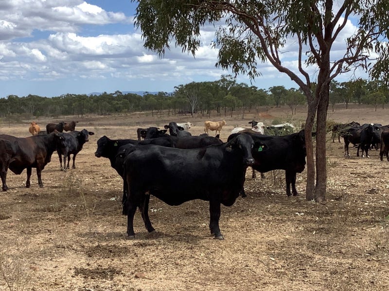 0 Rangemore Road, Gumlu, Qld 4805 - Property Details