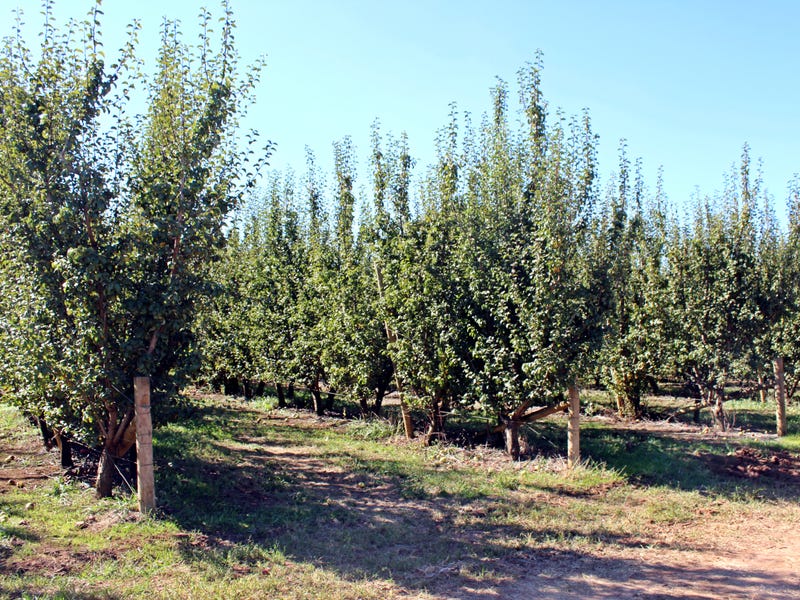 1485 Manley Road, Merrigum, Vic 3618 - Property Details