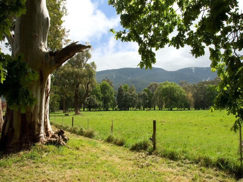 125 Dee Road, Millgrove, VIC 3799 - realestate.com.au