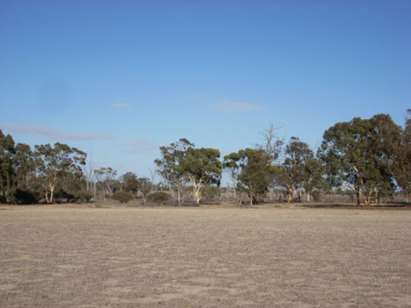 Property 7203751, Katanning, WA 6317 - Property Details