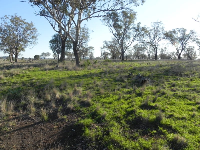 0 McGrath Road, Linthorpe, Biddeston, Qld 4401 - Property Details