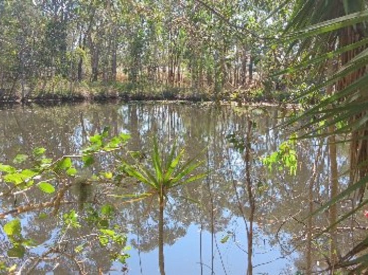 1, Top End Mines Road, Torbanlea, Qld 4662 - Other for Sale ...