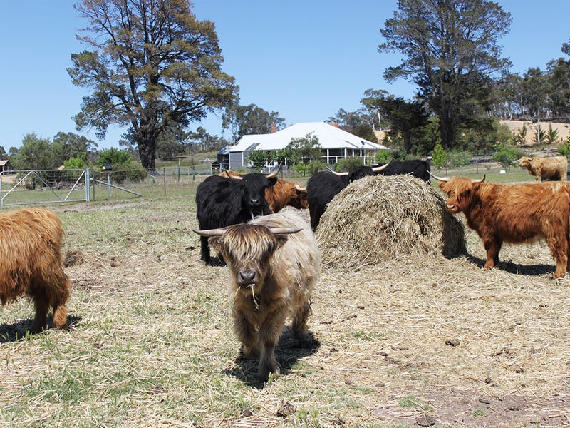 8991 Nerriga Road, Braidwood, NSW 2622 - Property Details