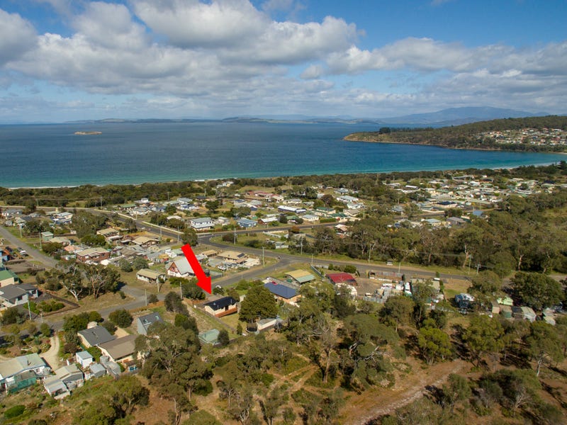 8 Protea Street, Primrose Sands, TAS 7173 - realestate.com.au