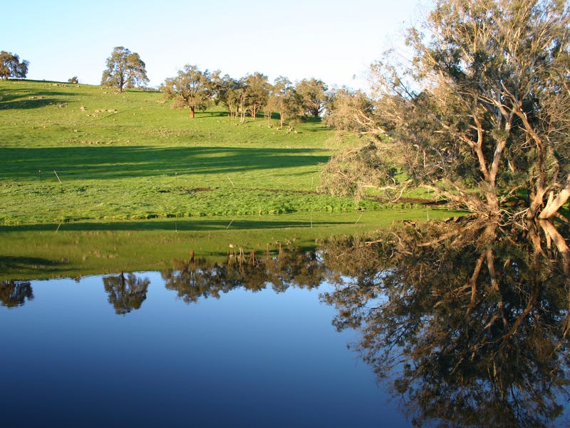 Lot 54 Great Northern Highway, Bindoon, WA 6502 - Property Details