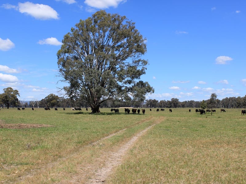 2253 Dargalong Road, Nagambie, Vic 3608 - Property Details
