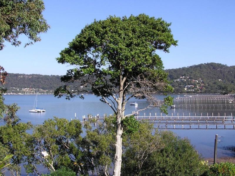 10 Coogee Road, Point Clare, NSW 2250 - realestate.com.au