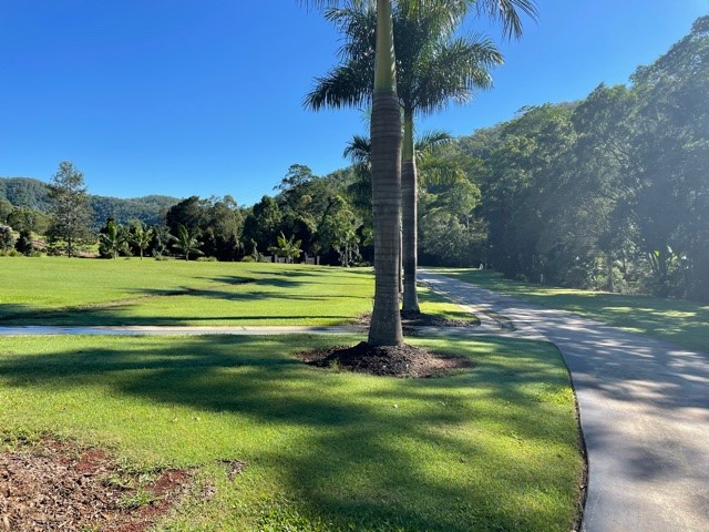 8D Wongawallan Road, Wongawallan, QLD 4210 - realestate.com.au