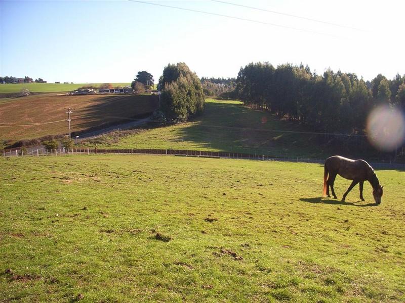 699 Isandula Road, Gawler, Tas 7315 - Property Details