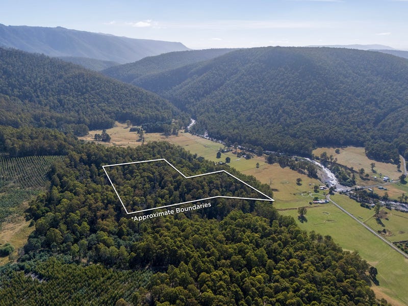 Lot 5 Liena Road, Liena, Tas 7304 - Lifestyle for Sale - realestate.com.au