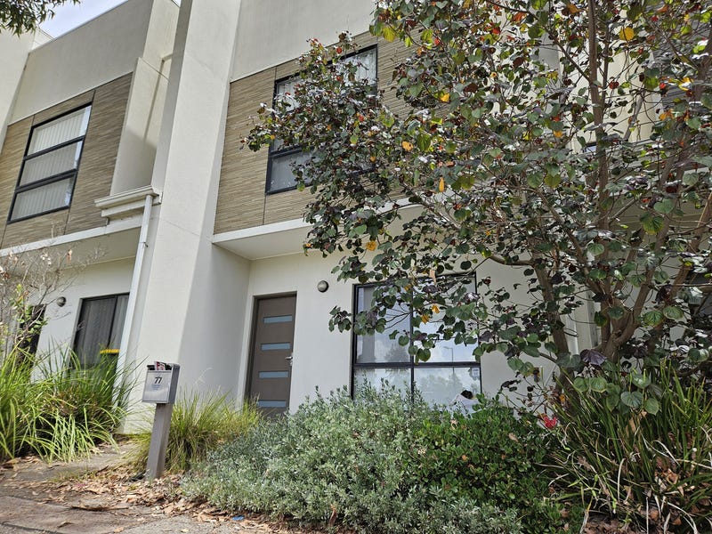 77 St Clair Avenue, St Clair, SA 5011 - realestate.com.au