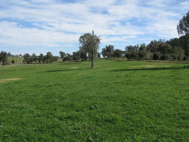 120 Mitchell Road, Table Top, NSW 2640 - realestate.com.au