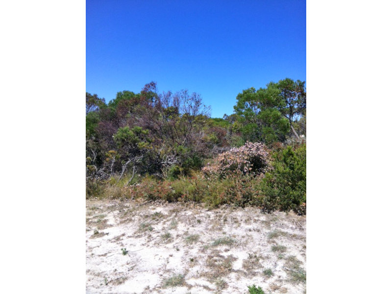 27 Emma Street, Bremer Bay, WA 6338 - realestate.com.au