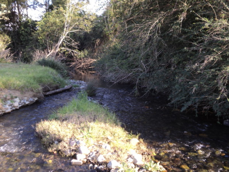 Property 7567207, Kindee, NSW 2446 - Property Details