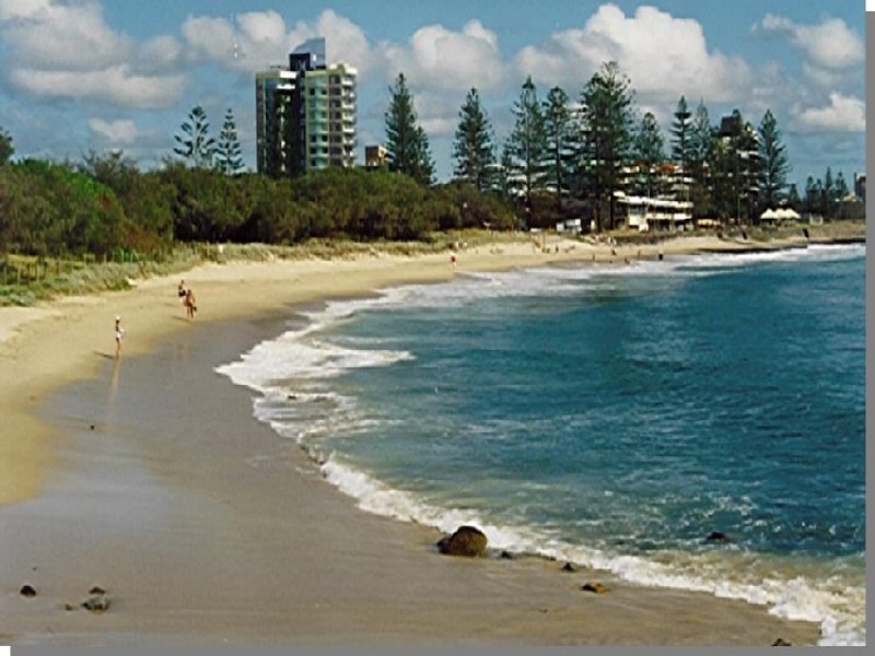 8 Camfield Street, Alexandra Headland, QLD 4572 - realestate.com.au