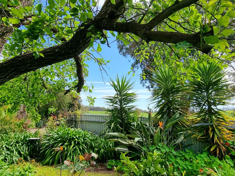 4 Woodgate St, Echunga, SA 5153 - Property Details