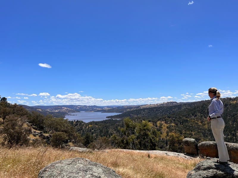 Lot 4 Tarrants Gap Road, Wyangala, NSW 2808 - Lifestyle for Sale ...