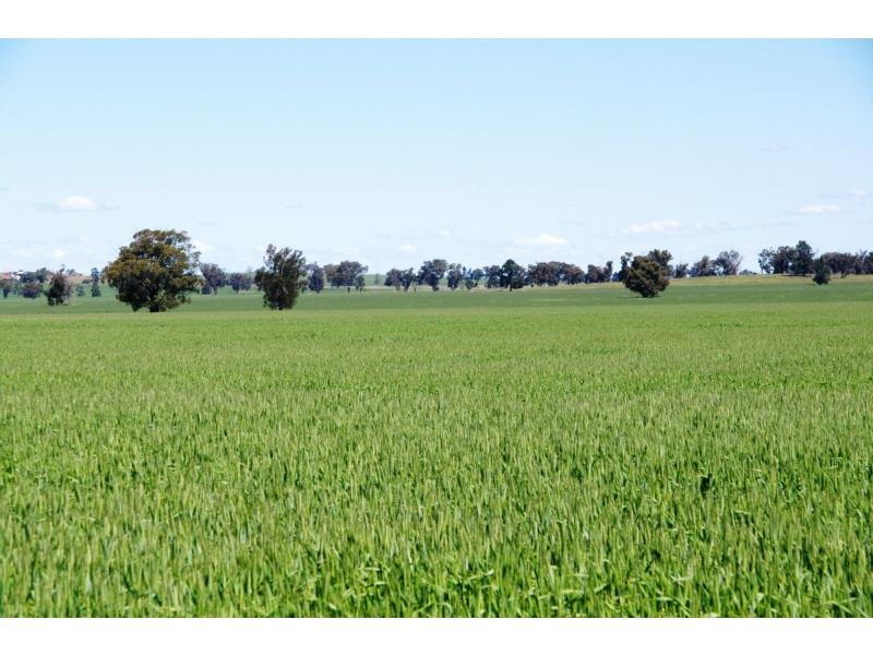 1327 Lockhart Road, Walbundrie, NSW 2642 - Property Details