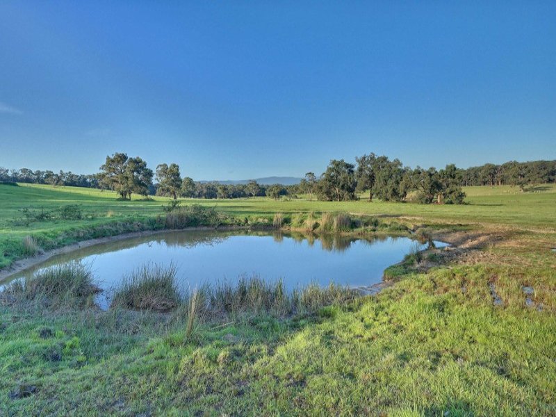 55 Taylor Road, Yellingbo, VIC 3139 - realestate.com.au