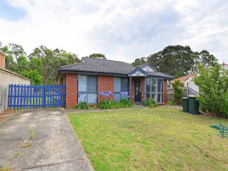 3 Gumtree Court, Carrum Downs, VIC 3201 - realestate.com.au