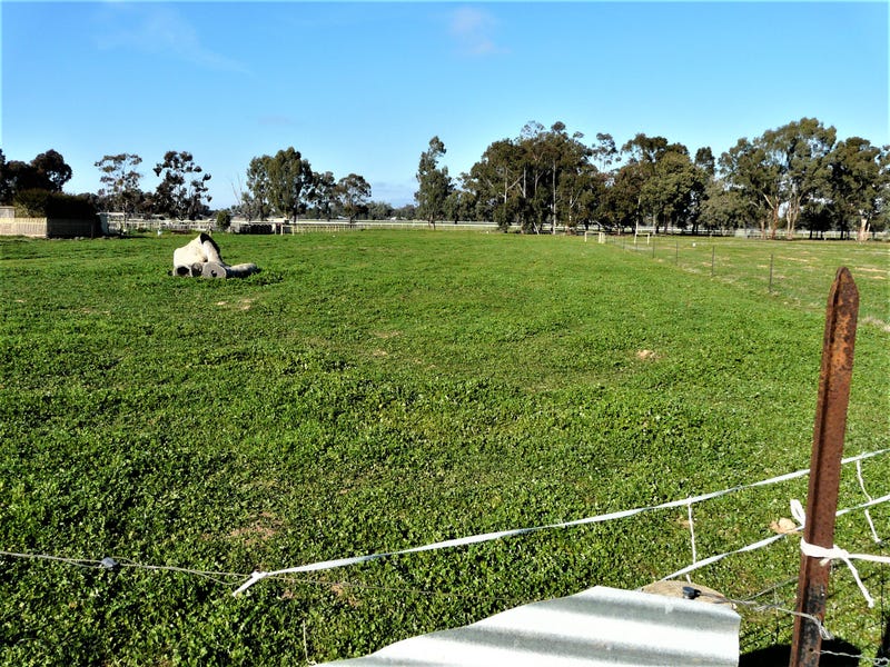 68 Honniball Drive, Tocumwal, NSW 2714 - realestate.com.au
