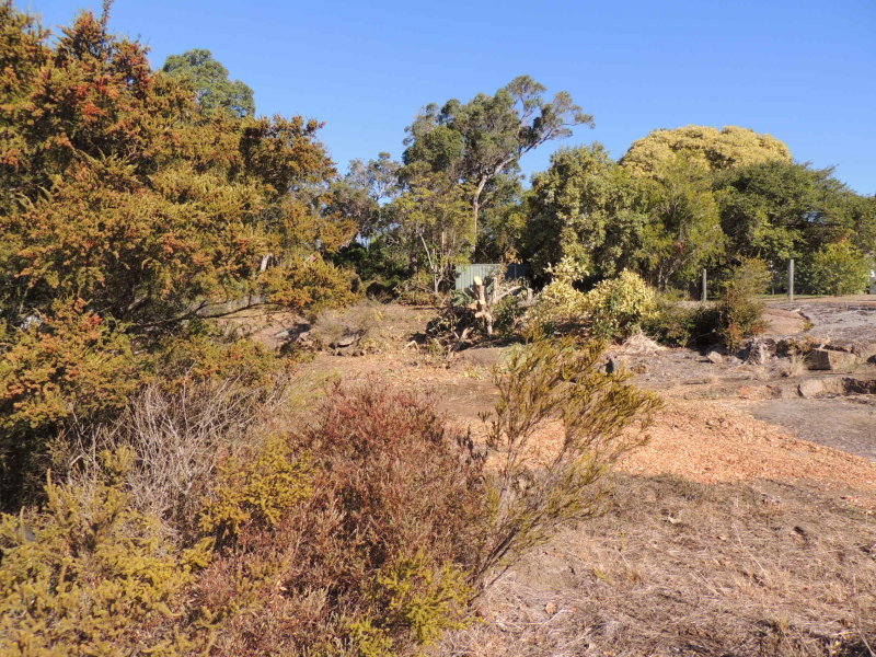 590 Lower King Road, Lower King, WA 6330 - realestate.com.au