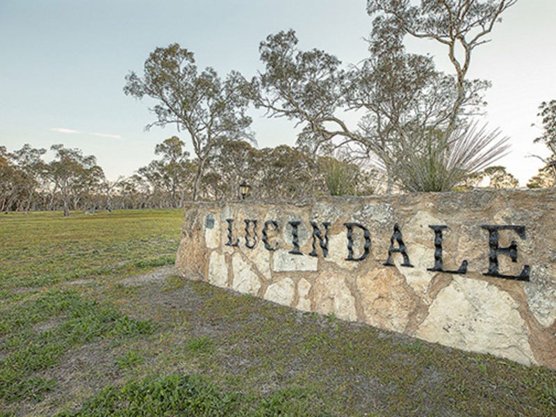 Lot 185 Musgrave Avenue, Lucindale, SA 5272 - realestate.com.au