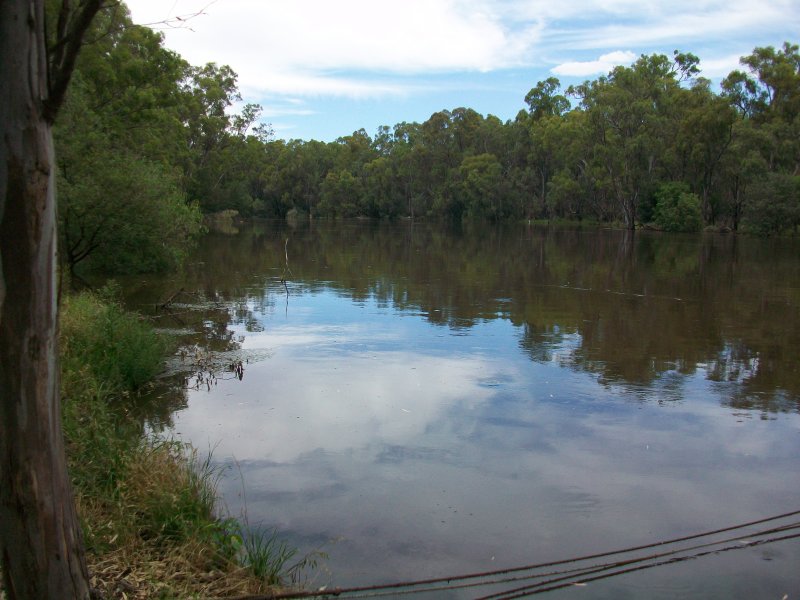 Property 7310014, Barham, NSW 2732 - Property Details