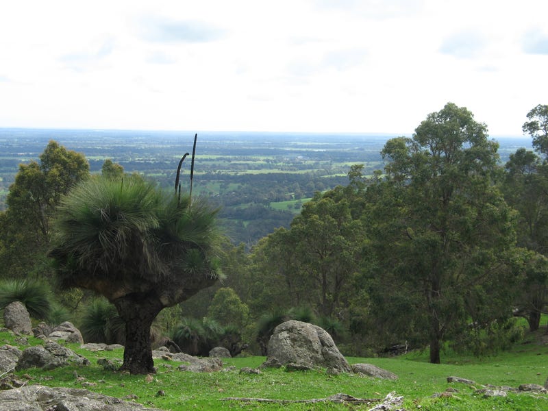 199 Morrell Road, Fairbridge, WA 6208 - realestate.com.au