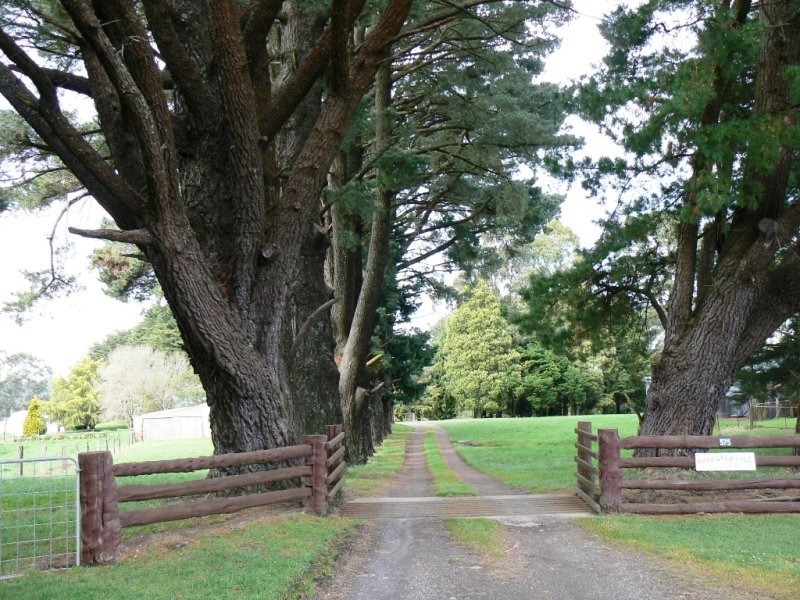 575 Dehnerts Track, Beech Forest, VIC 3237 - realestate.com.au